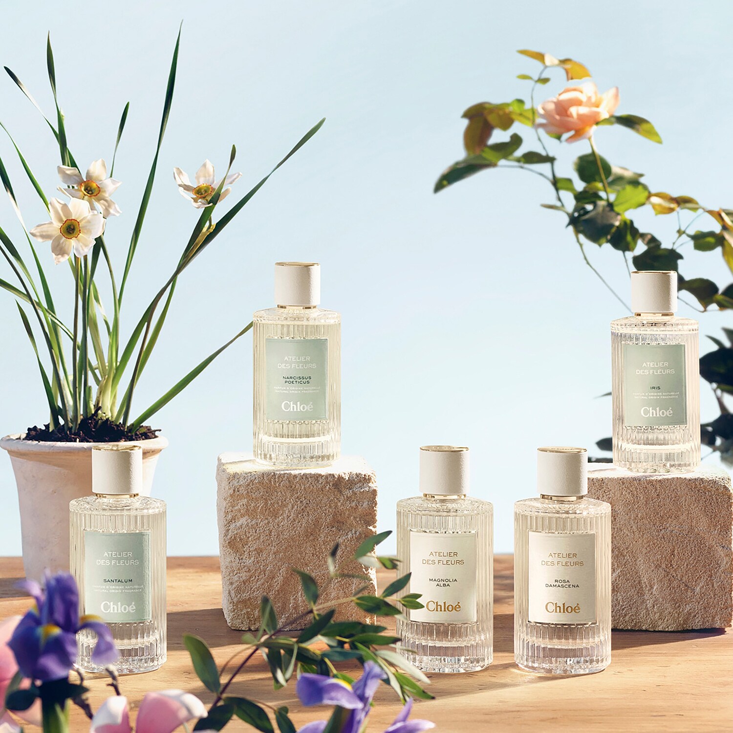 Chloé Atelier des Fleurs Santalum Woda perfumowana i CHLOÉ SEPHORA