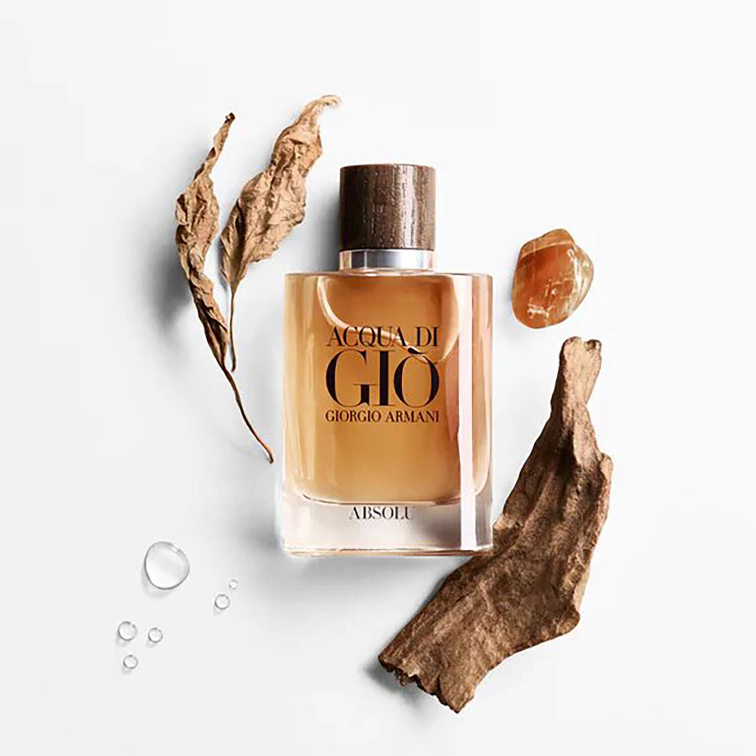 Gio absolu store