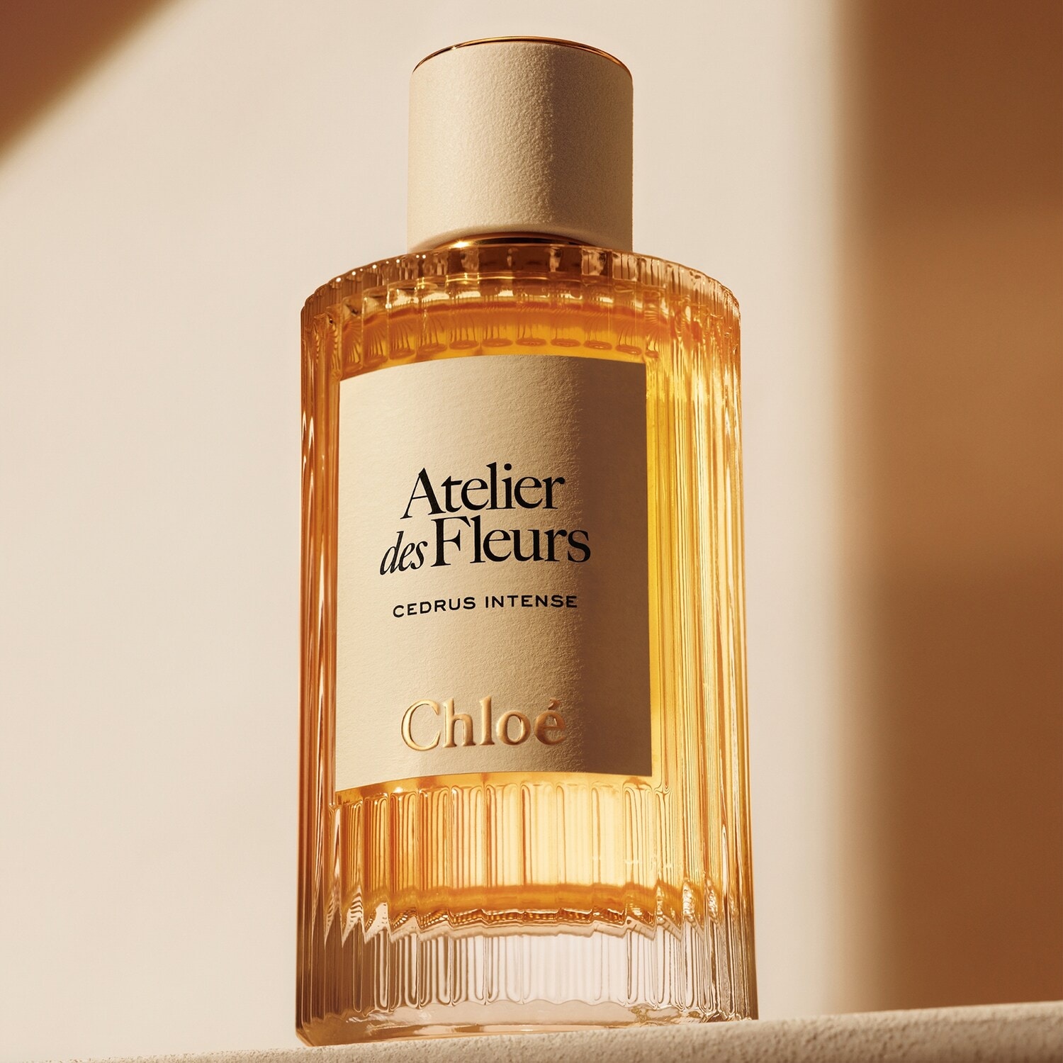 Chloé Atelier des Fleur Cedrus Intense - Woda Perfumowana i CHLOÉ ≡ SEPHORA