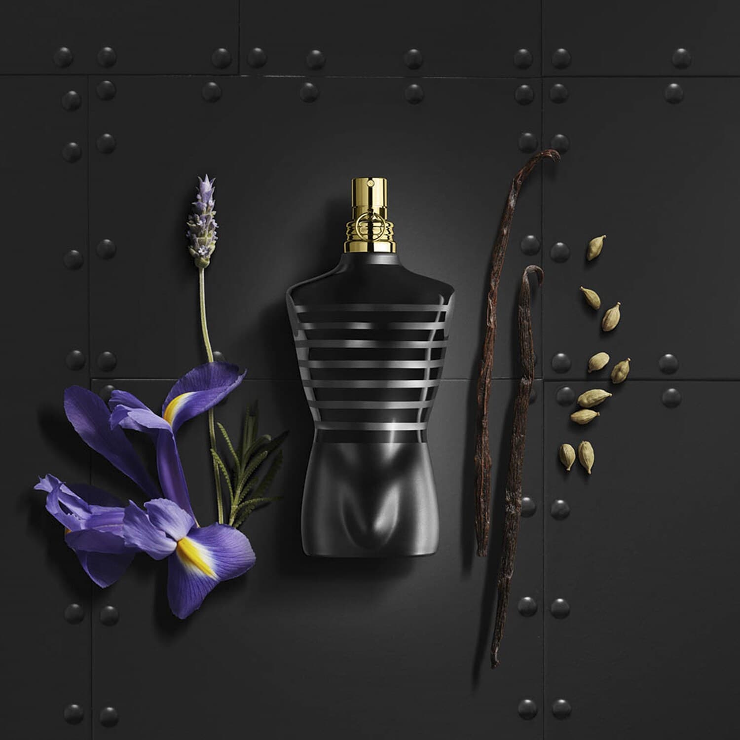 Le Male Le Parfum - Woda perfumowana i JEAN PAUL GAULTIER ≡ SEPHORA
