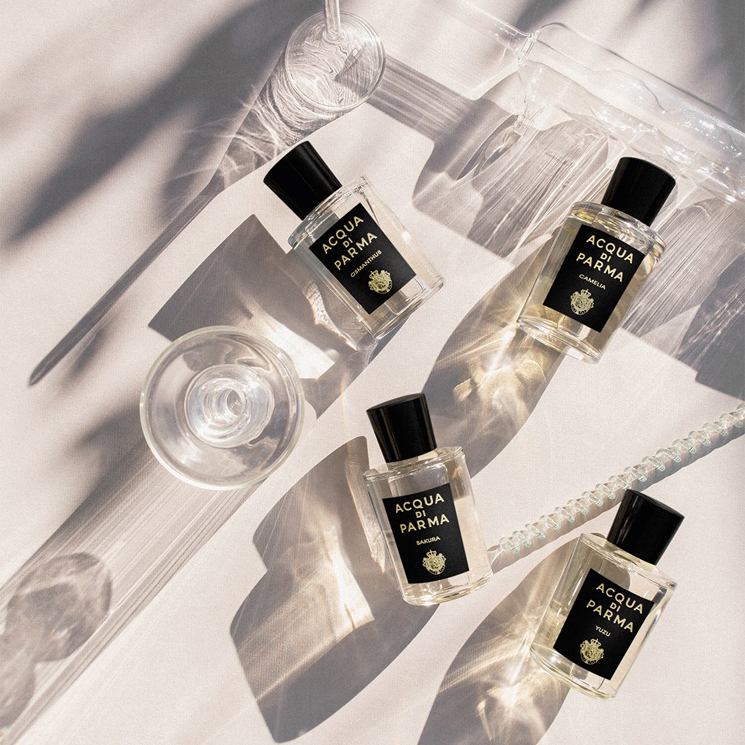 Signature Yuzu - Woda perfumowana i ACQUA DI PARMA ≡ SEPHORA